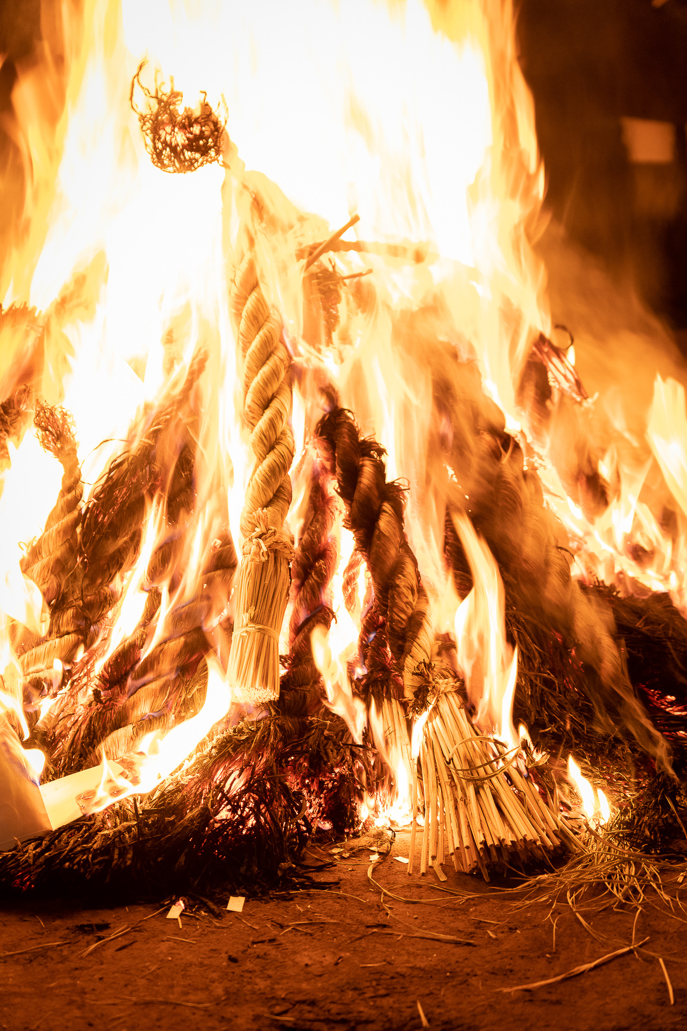 gallery | niimi photo