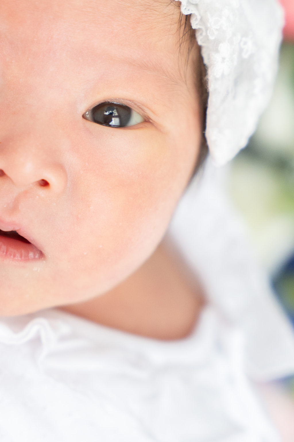 Gallery | niimi photo